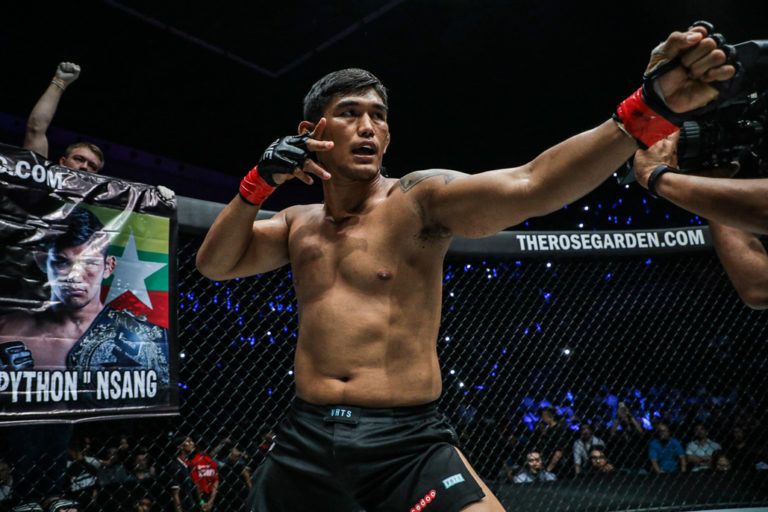 Aung La N Sang On A Mission To Save Myanmar’s Endangered Wildlife - ONE ...