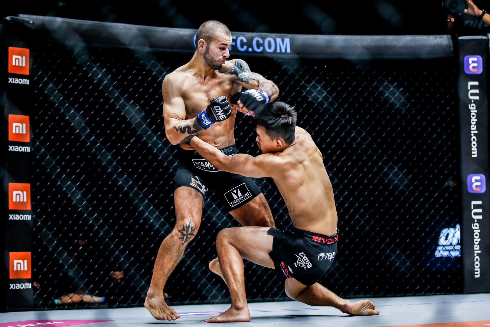 Where The Lightweight Division Stands After Ok-Lee Shocker