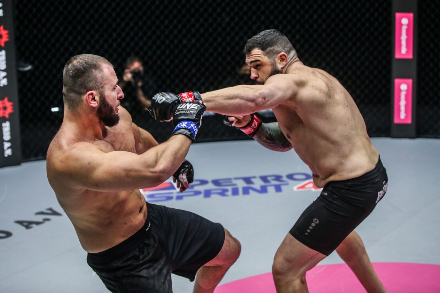 Cerilli Earns TKO Over Vagabov In Heavyweight Main Event - ONE ...
