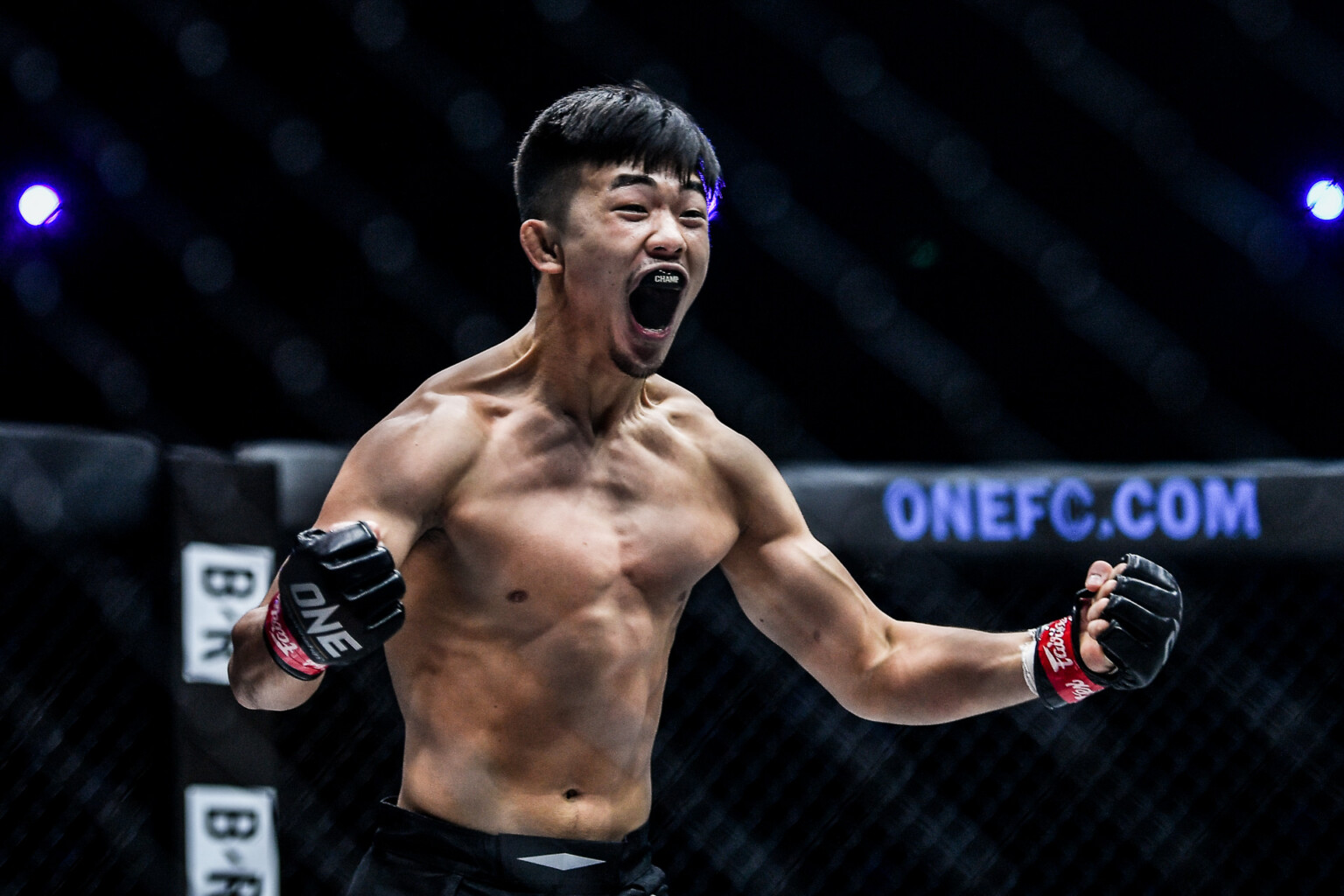 Christian “The Warrior” Lee MMA Stats, News, Videos ,and More - ONE ...