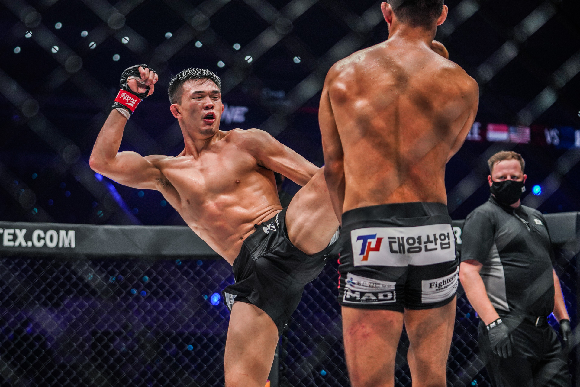 Where The Lightweight Division Stands After Ok-Lee Shocker