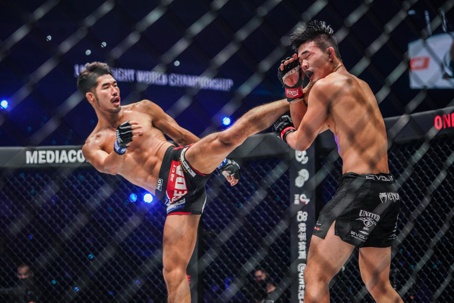 Christian “The Warrior” Lee MMA Stats, News, Videos ,and More - ONE ...