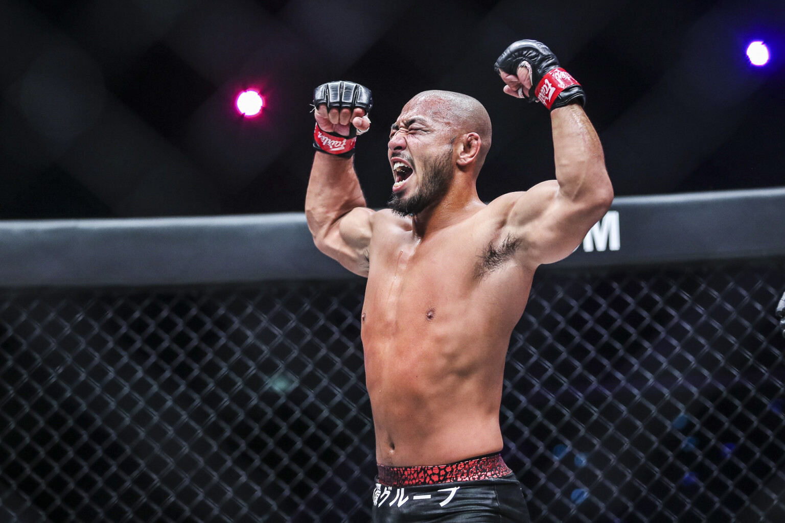 Hiroyuki “Japanese Beast” Tetsuka - ONE Championship – The Home Of ...