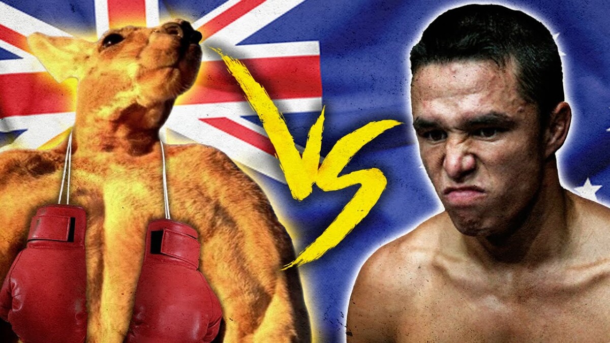 Alma Juniku - ONE Championship – The Home Of Martial Arts