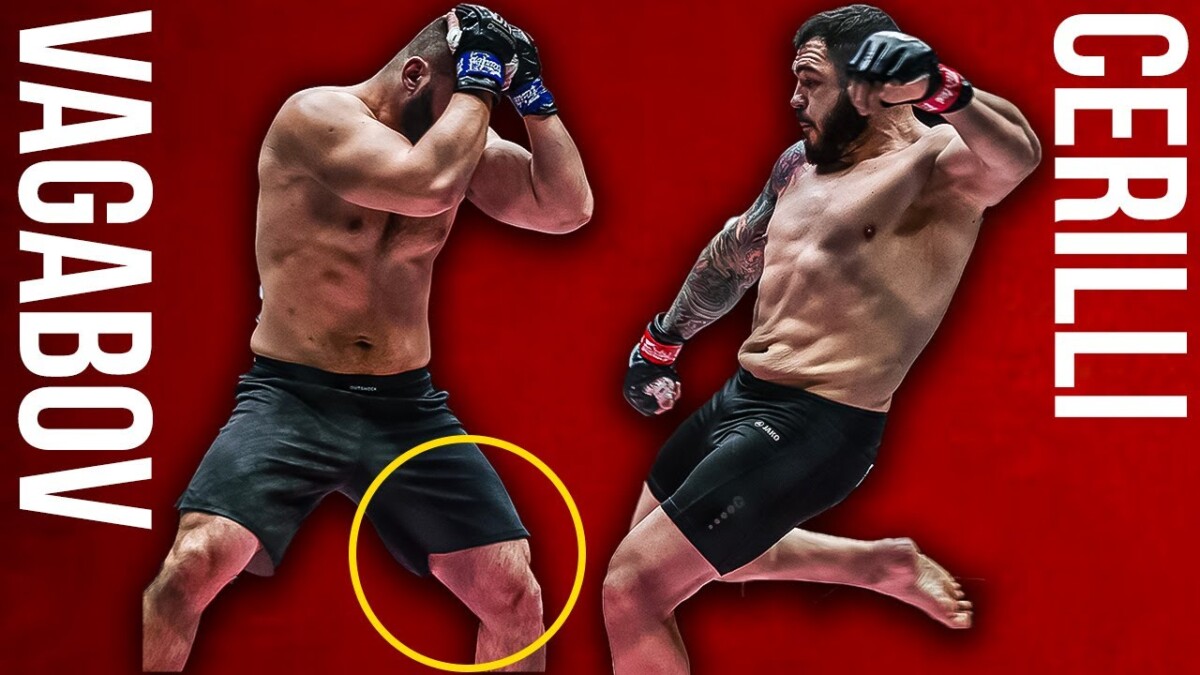 Mauro CerilliMauro Cerilli MMA Stats, News, Videos ,and More - ONE ...