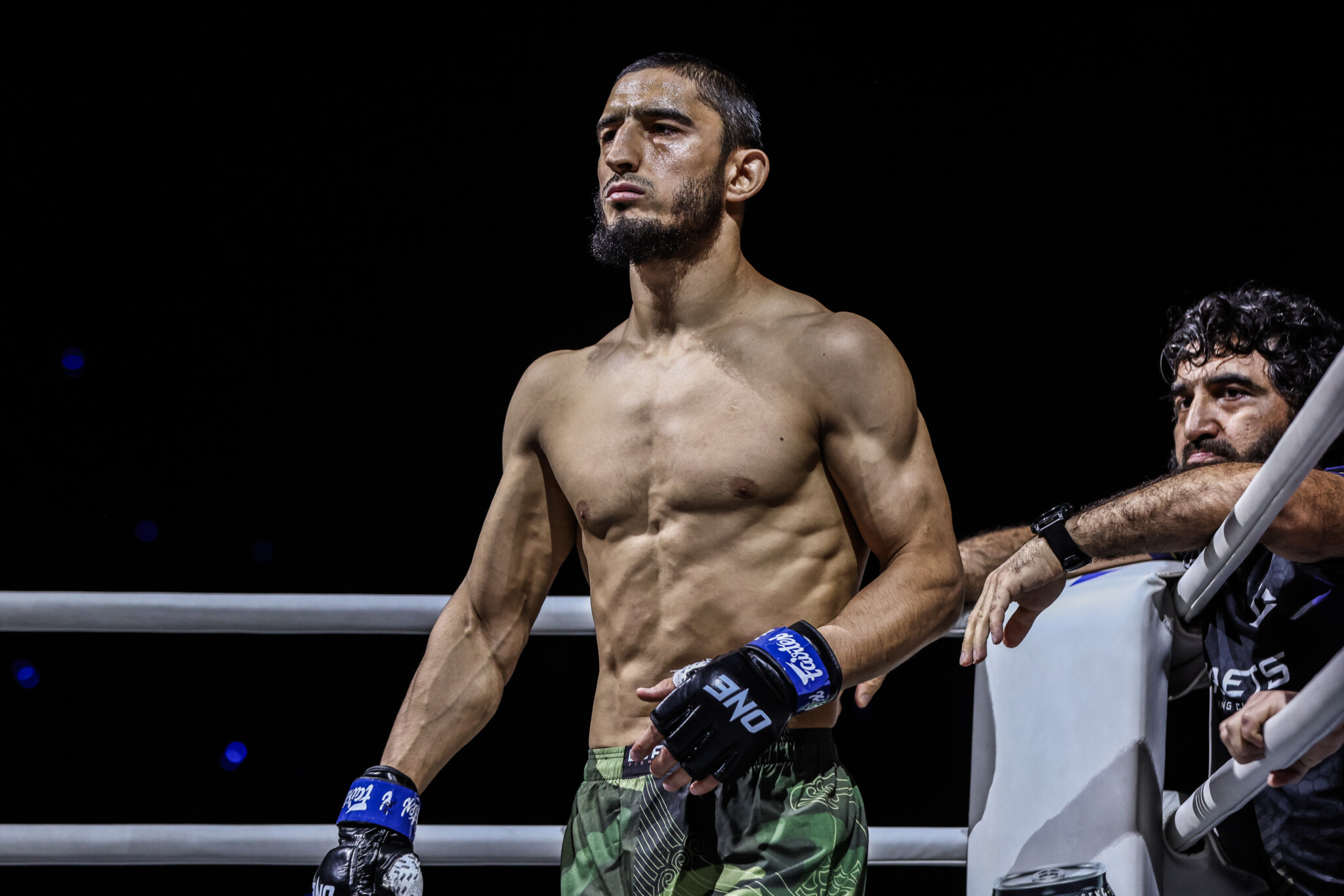 5 Things To Know About Undefeated Lightweight MMA Contender Alibeg ...