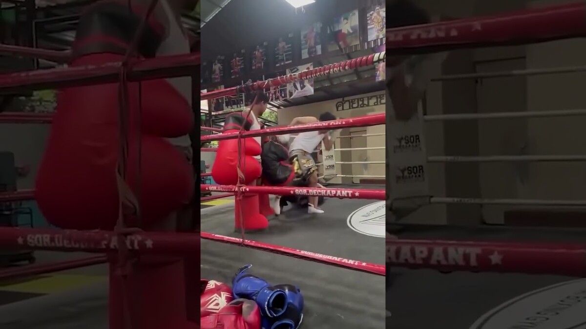 ONE Fight Night 6 – Rodtang Jitmuangnon Vs. Jiduo Yibu Full Fight - ONE ...