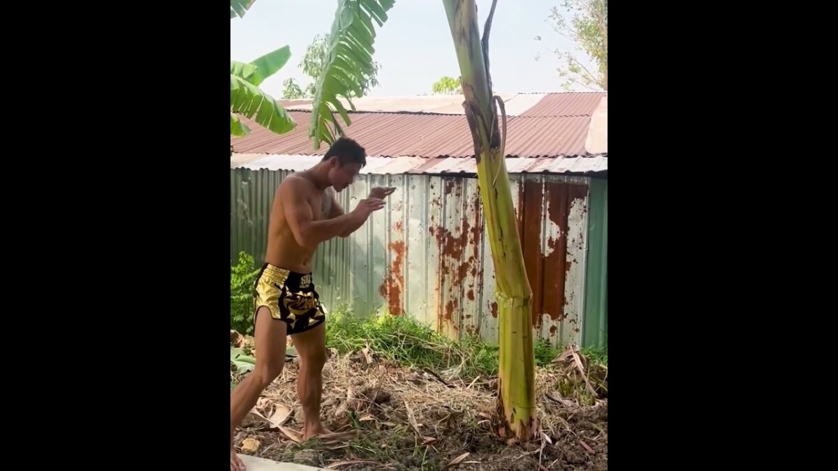 Suablack Tor Pran49 - ONE Championship – The Home Of Martial Arts