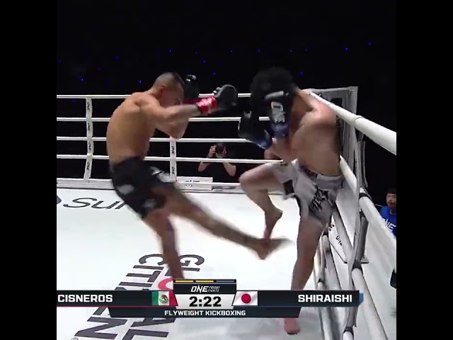 KILLER leg kicks Anuar Cisneros chops down Shun Shiraishi in our ...